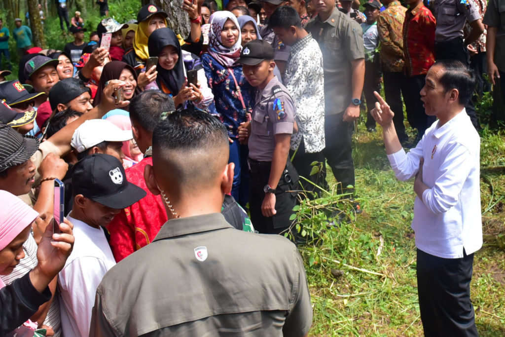 Sekretariat Kabinet Republik Indonesia | Pelepasliaran Burung Elang Jawa dan Peninjauan Kebun ...