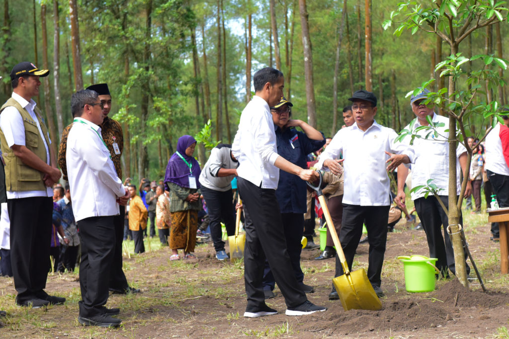 Sekretariat Kabinet Republik Indonesia | Pelepasliaran Burung Elang Jawa dan Peninjauan Kebun ...