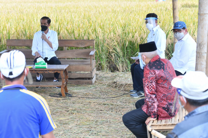 Sekretariat Kabinet Republik Indonesia | Presiden Tinjau Panen, Tanam, dan Penggilingan Padi di ...