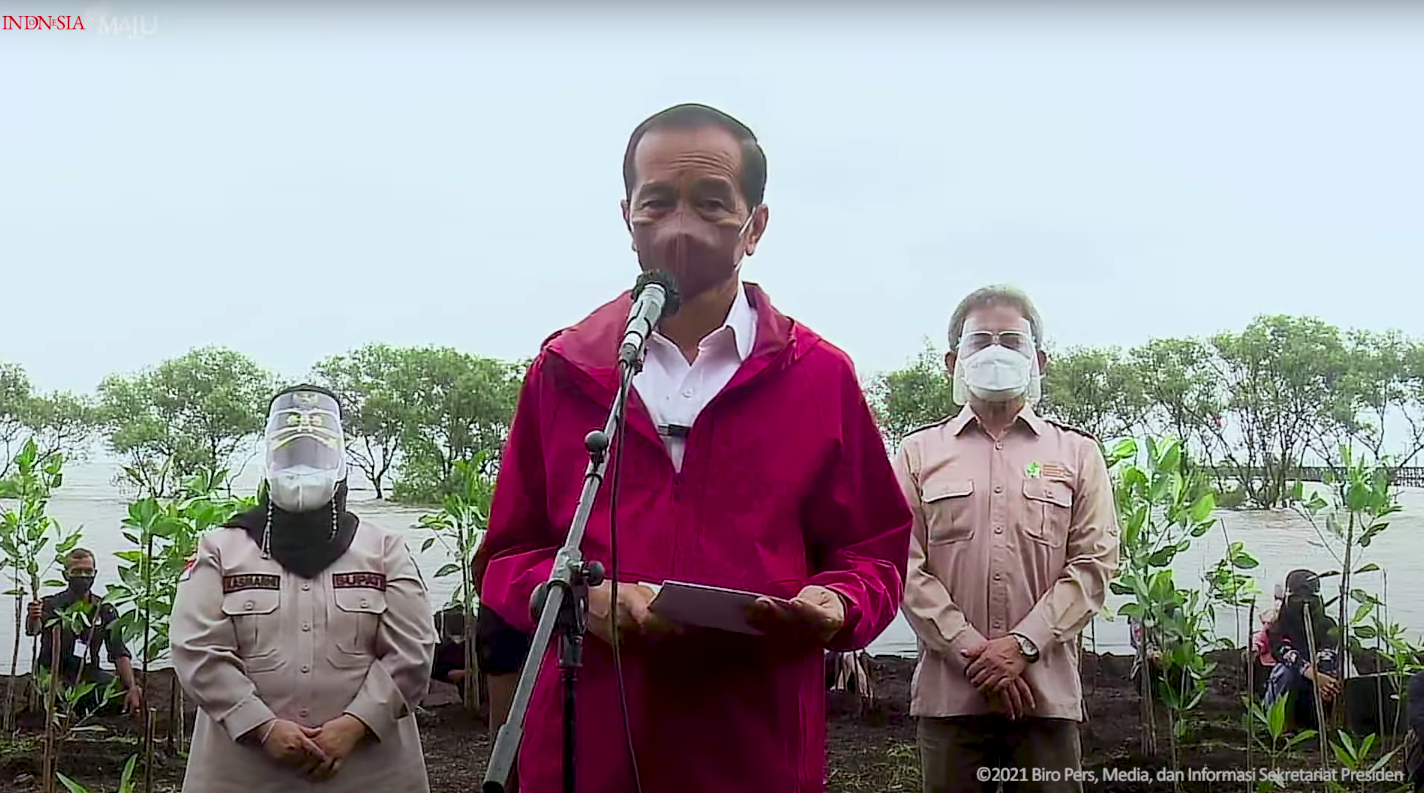 Sekretariat Kabinet Republik Indonesia | Penanaman Pohon Mangrove, di ...