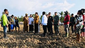 Sekretariat Kabinet Republik Indonesia | President Jokowi Inspects Food ...