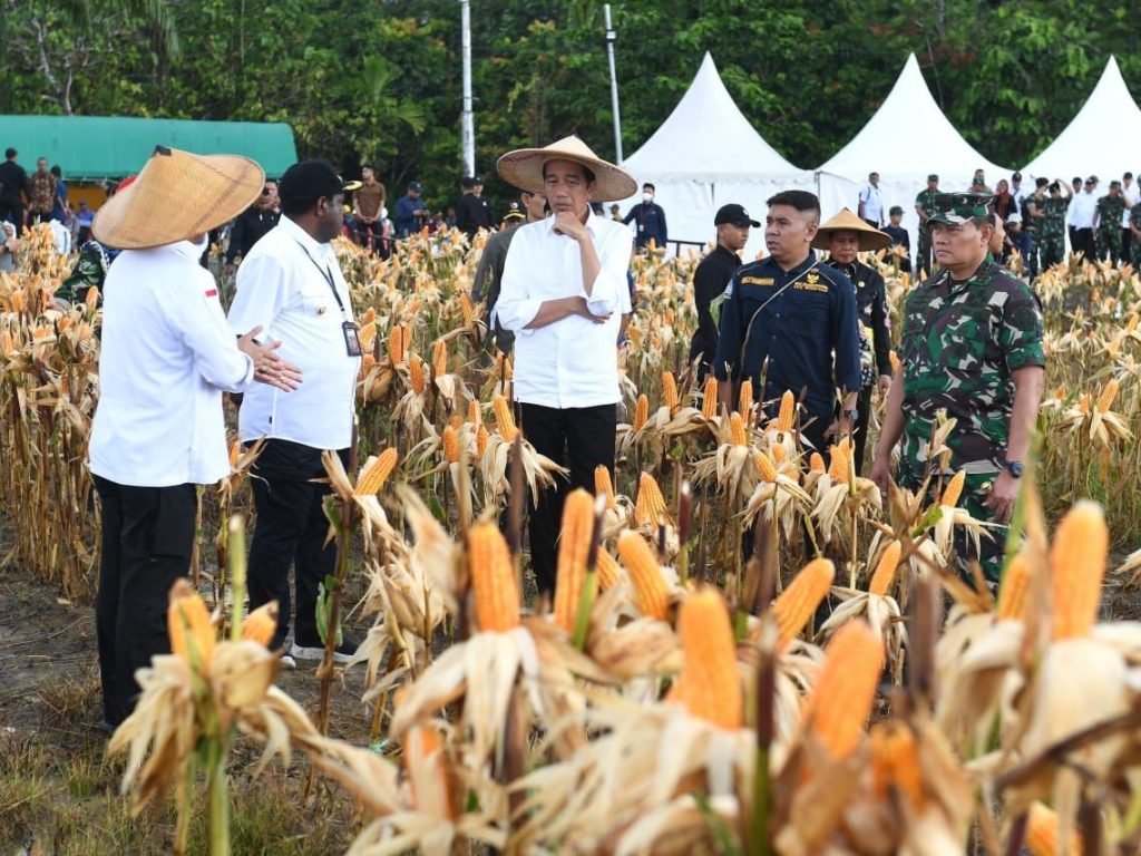 Sekretariat Kabinet Republik Indonesia | President Jokowi Inspects Corn ...