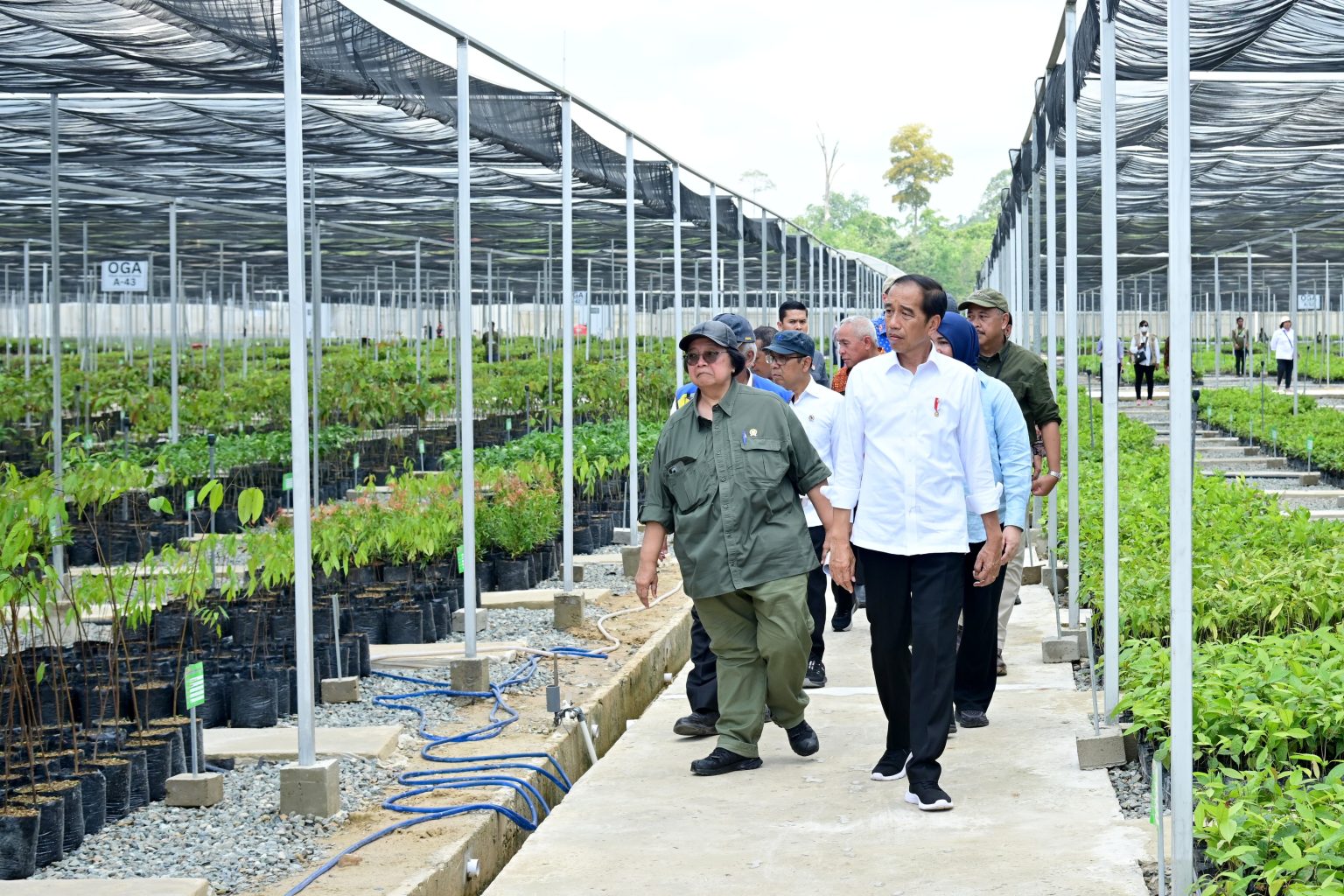 Sekretariat Kabinet Republik Indonesia | Persemaian Mentawir Hampir ...