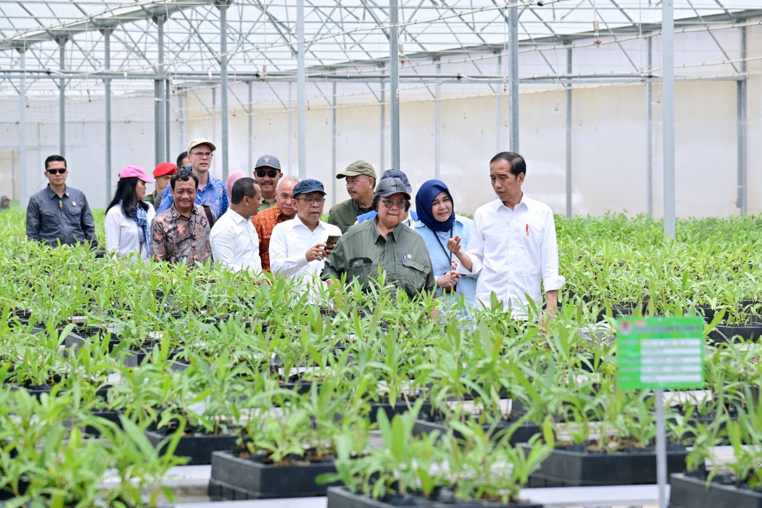 Sekretariat Kabinet Republik Indonesia | Tinjau Persemaian Mentawir ...