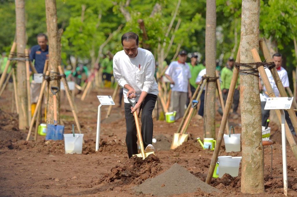Sekretariat Kabinet Republik Indonesia | President Jokowi Joins Tree ...