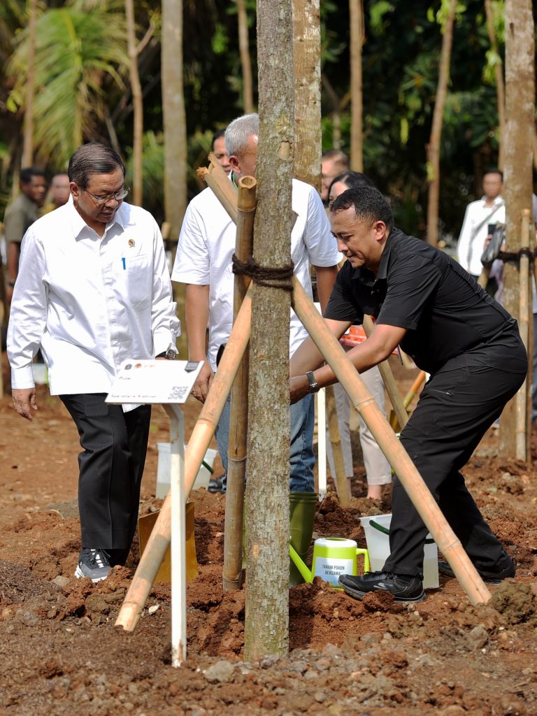 Sekretariat Kabinet Republik Indonesia | Presiden Joko Widodo menghadiri acara Gerakan Tanam ...